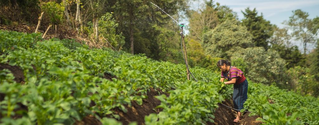 FUNDEA Launches the First Scientific Center for Climate Change Adaptation and Resilience - Siucom